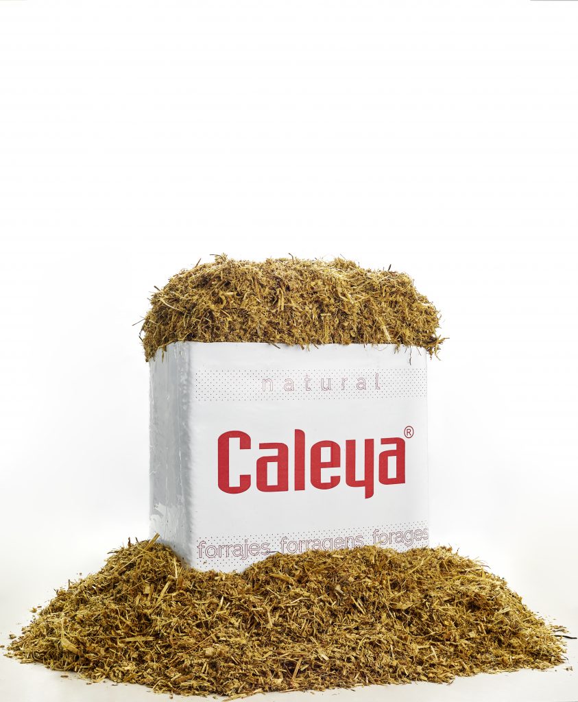 SUGARMIX ENERGY - Caleya