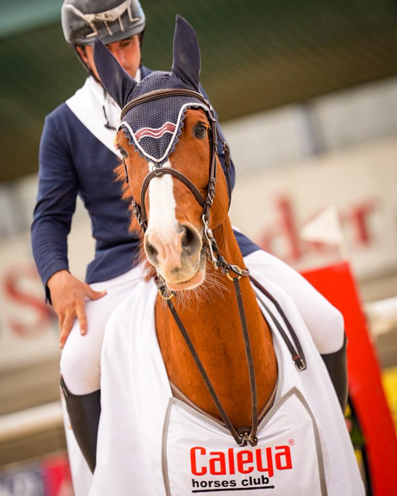 Mes de octubre para Caleya - Caleya