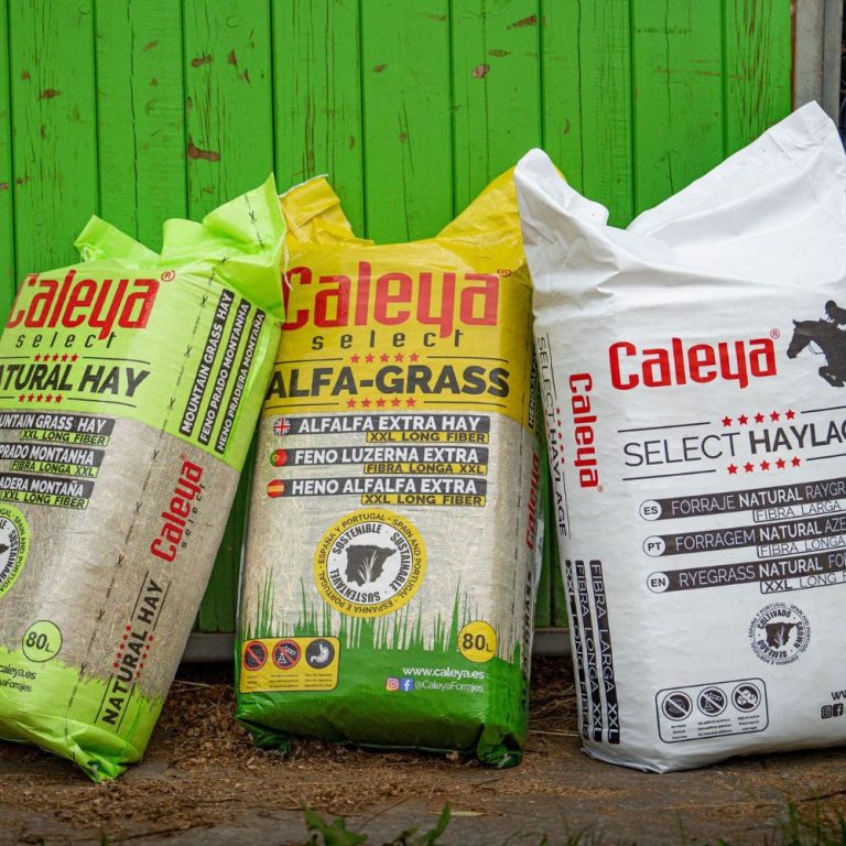 Beneficios de los diferentes tipos de forrajes Caleya - Caleya